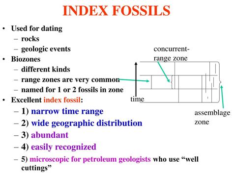 PPT BIOSTRATIGRAPHY Age Dating Correlation PowerPoint Presentation ID