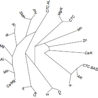 Similarity Dendrogram Obtained By The UPGMA Clustering Method Of 76
