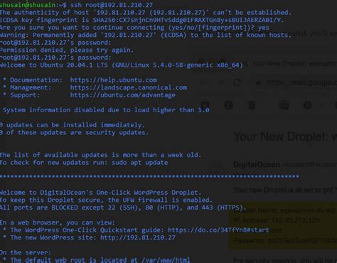 Step By Step Guide To Create A Free Wordpress Website Linuxtechlab