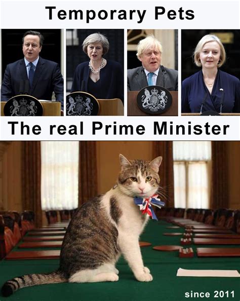 영국의 진짜 수상 유머 이슈 Yuldo