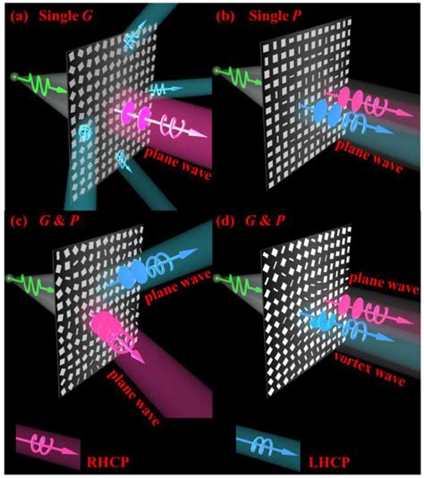Schematics Of A Geometrical Ms Lens B Propagating Ms Lens C Download Scientific Diagram