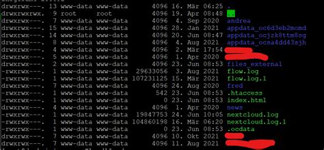 Docker Permission Error Appliances Docker Snappy VM NCP AIO