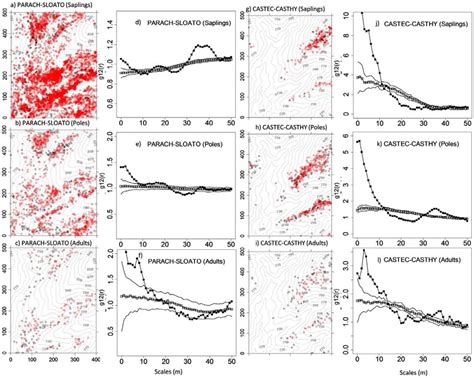 Examples Of Species Associations In Bivariate Patterns Shown Are The Download Scientific