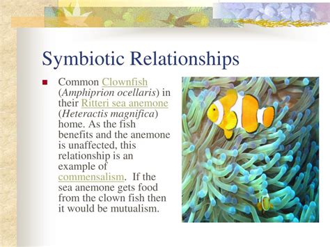 PPT Symbiotic Relationships PowerPoint Presentation Free Download ID