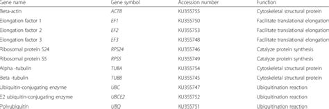 Selected Housekeeping Genes For Expression Analysis Download Table