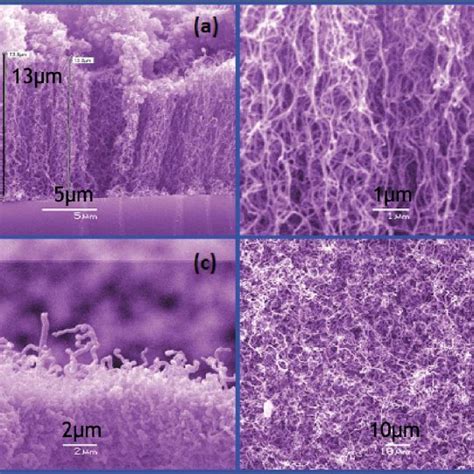 X Ray Diffraction Pattern Of The Cnt Forest On Fe Coated Si Substrate Download Scientific Diagram