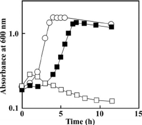 Determination Of The Transcription Start Site Of The Tphc Ii Download