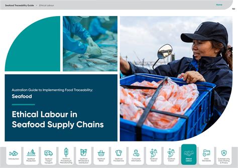 Agift Seafood Guide Implementing Food Traceability Program