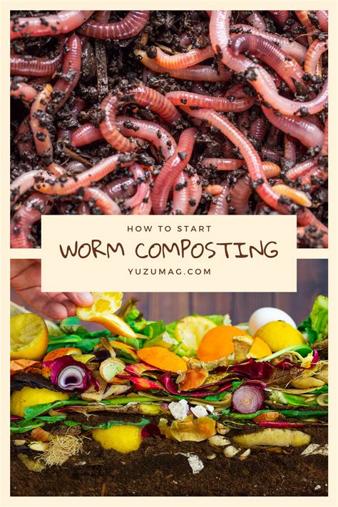 Worm Composting Everything You Need To Get Started Artofit