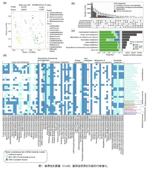 Science Bulletin 食源性乳酸菌的基因组揭示了其对人体的健康效益 中国益生菌网 益生菌 乳酸菌与双歧杆菌菌种资源库