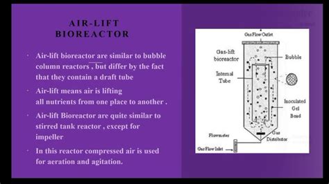 Air Lift Bioreactor Microbial Technology Microbiology In Marathi Youtube