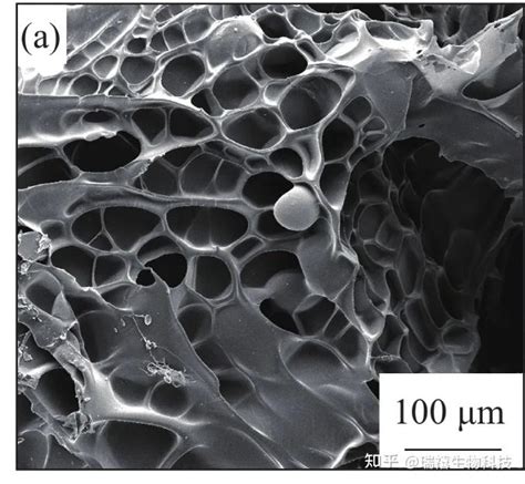 壳聚糖载抗生素水凝胶 接枝nogo A抗体的温敏型壳聚糖水凝胶 巯基化壳聚糖水凝胶的制备 知乎