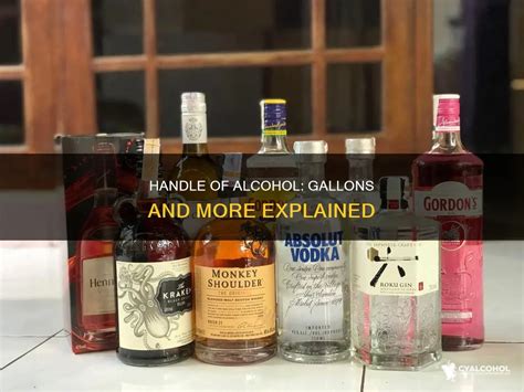 Handle Of Alcohol Gallons And More Explained Cyalcohol