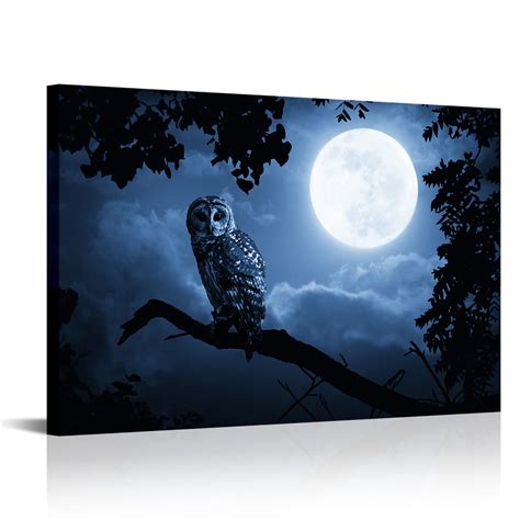 Owl With Moon At Night