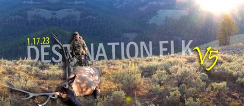 dev5 eat sleep hunt elk