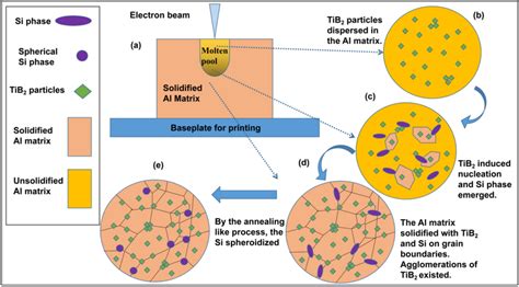 A A Schematic Figure Of The Sebm Of Tib2 Alsi10mg B Tib2 Particles In Download Scientific
