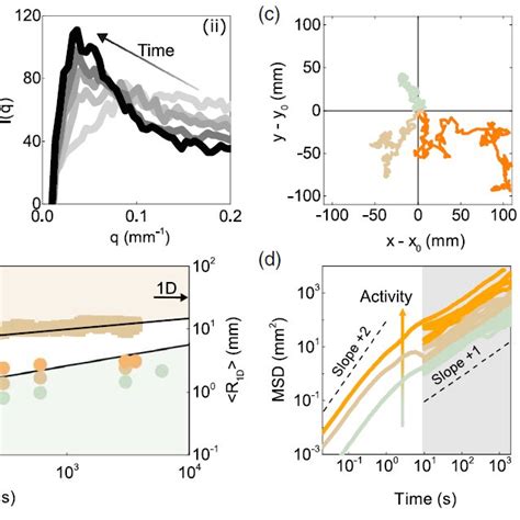Phase Separation Dynamics Download Scientific Diagram
