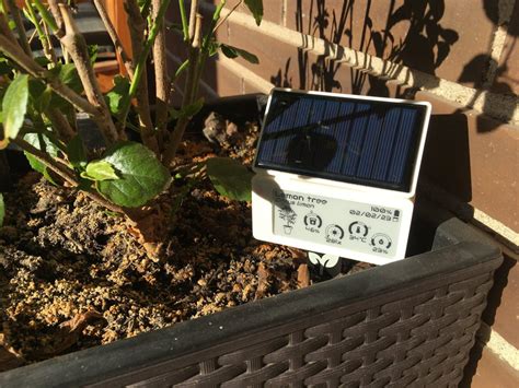 Tindie Blog Smart Plant Low Power Plant Monitoring