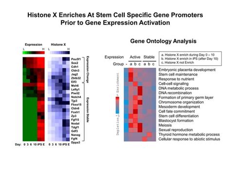 Python Meetup 2014 Ppt