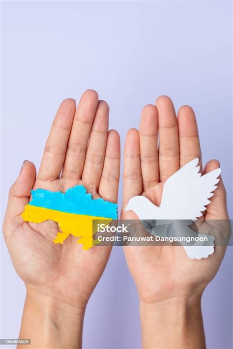 러시아와의 전쟁에서 우크라이나에 대한 지원 우크라이나의 국경 깃발로 평화 비둘기를 들고 손 기도 전쟁 없음 전쟁을 중지하고 우크라이나 개념과 함께 서 0명에 대한 스톡 사진