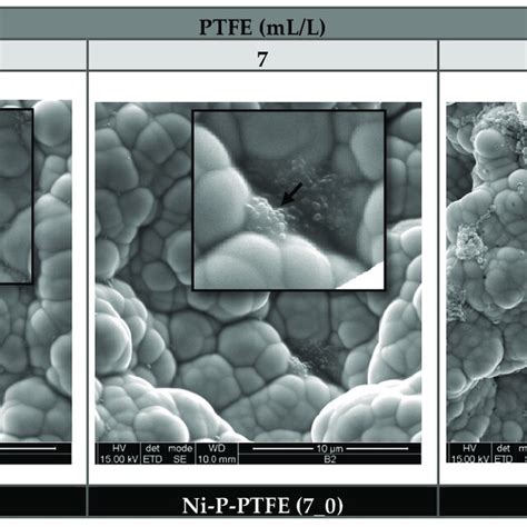 Sem Micrographs Of Ni P Ptfe Coatings On Nbr Without Using Surfactant Download Scientific