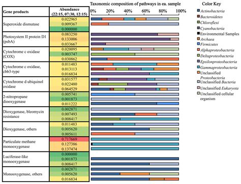 Metatranscriptomic Analysis Of A High Sulfide Aquatic Spring Reveals Insights Into Sulfur