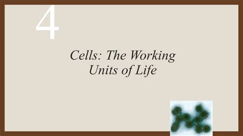 chapter 4 powerpoint ppt