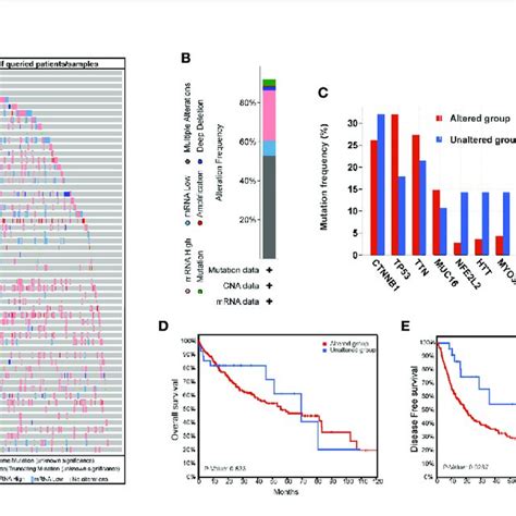 The Genomic Alterations Of Ubiquitin Specific Proteases In Hcc Download Scientific Diagram