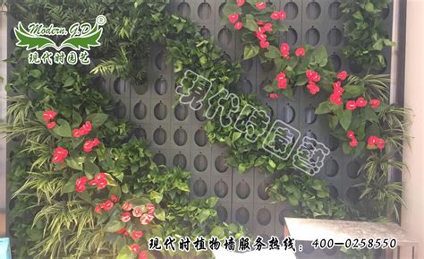 模块式植物墙 植物墙 立体绿化 垂直绿化 立体花架 PVC花箱 铝合金花箱 无土栽培产品 现代时园艺景观