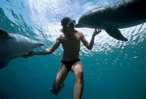 How To Have Sex With Dolphins Points In Case