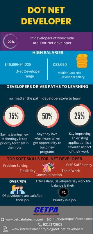 about dot net developer pdf