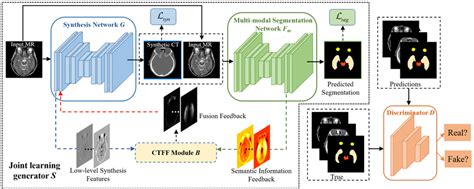 the framework of our proposed ctff gan for simultaneous mr ct synthesis