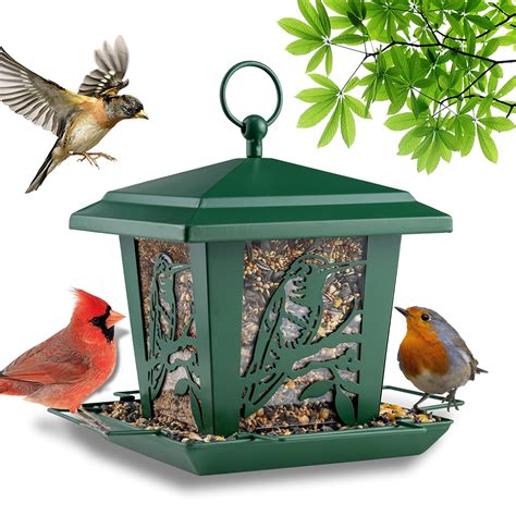 Best Bird Feeders For Attracting Native Birds Site