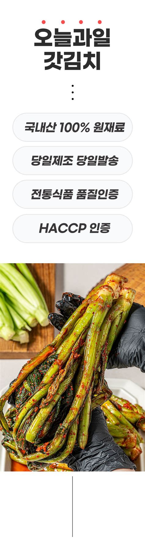오늘과일 오늘과일 갓김치