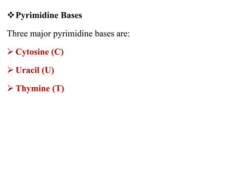 Structure Of Dna And Rna Nucleotides Nucleosidespptx