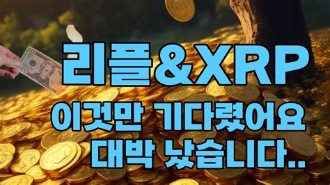 리플 올해에 이것만 기다렸네요 축하드립니다 코인 리플 비트코인 서울 비트코인시세 Youtube