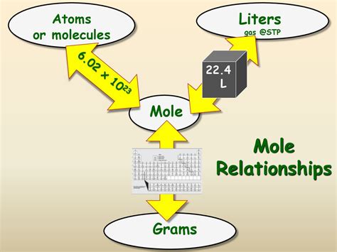 The Mole Ppt Download