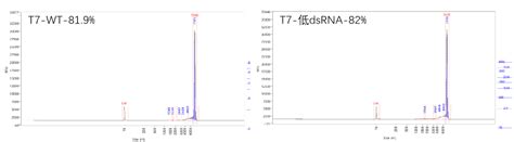 翌圣生物革新力作！超低dsrna T7 Rna聚合酶，开启mrna合成新纪元