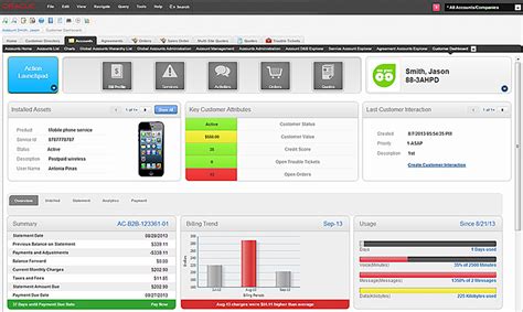 Cutting Edge Siebel Crm System Empowering Business Efficiency