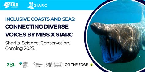 Miss X Siarc Minorities In Shark Sciences