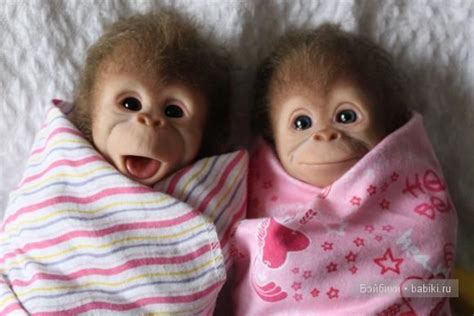 Как нарисовать обезьяну на Новый год оригинальные и смешные картинки фото Funny Pictures