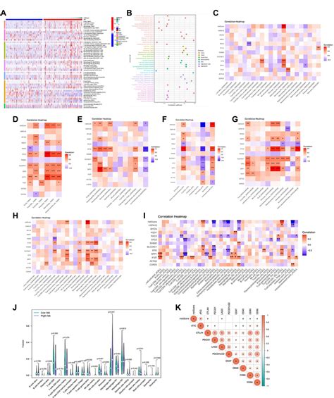 Figure 5 From Identification And Validation Of Slco4c1 As A Biological