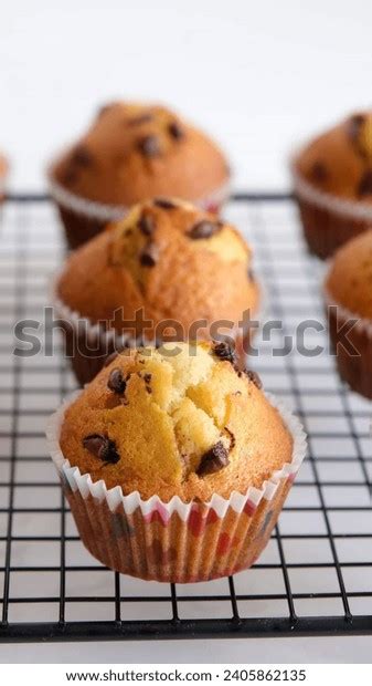 54 Chocho Chip Royalty Free Photos And Stock Images Shutterstock