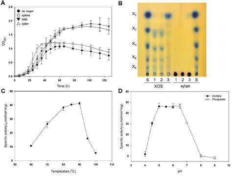 Expression Of β Xylosidase Enables S Acidocaldarius To Utilize Xos