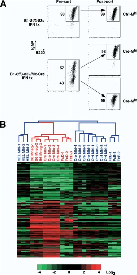 Microarray Gene Expression Analysis Demonstrates Coclustering Of