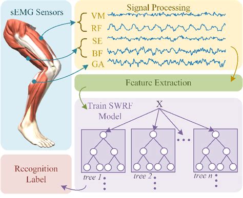 Entire Frame Of Lower Limb Activity Recognition Semg Based First Semg Download Scientific