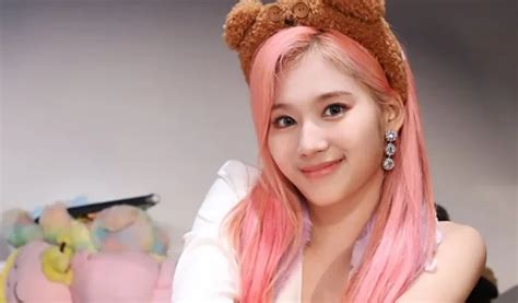 计算 Twice 成员 Sana 在 2024 年的净资产：该组合财富中的 柴犬”