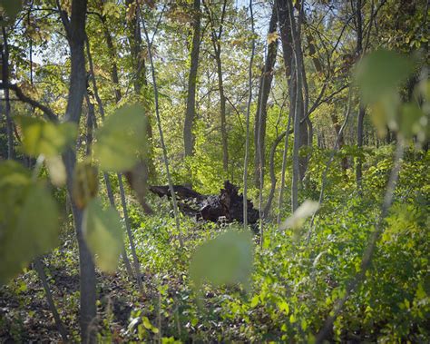 Nature Scenery And Freelance Photography Flickr