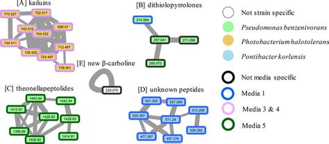 Examples Of Molecular Networks Visualized After Analysis Of Accurate Ms