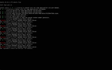 Lxd Vm Not Able To Pxe Boot With Ipv4 Lxd Linux Containers Forum